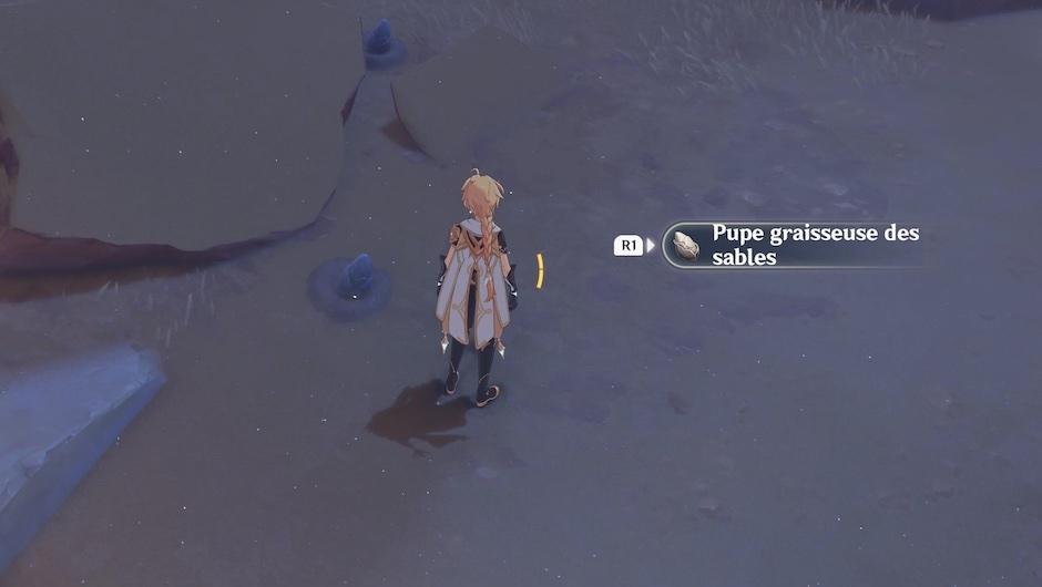 Pupe graisseuse des sables Genshin Impact : Où et comment en trouver ...
