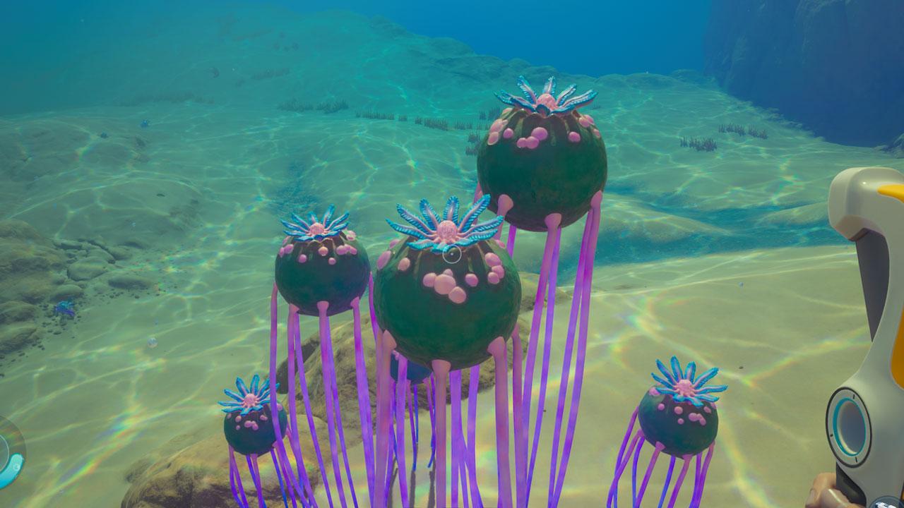 Subnautica 2 : Kyste de nécrolei, où en trouver pour fabriquer de l ...