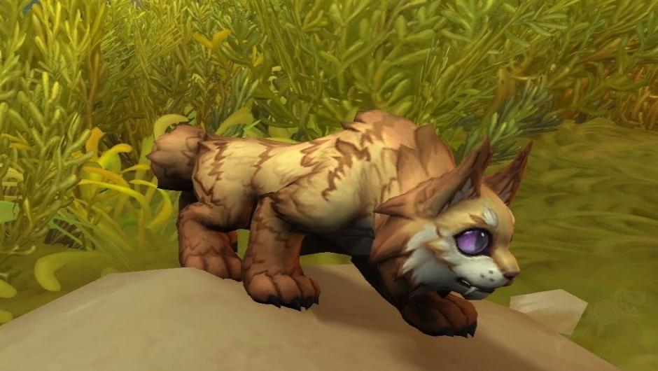 WoW : Comment obtenir la mascotte Tonnerre, le lynx jaune ? - World of ...