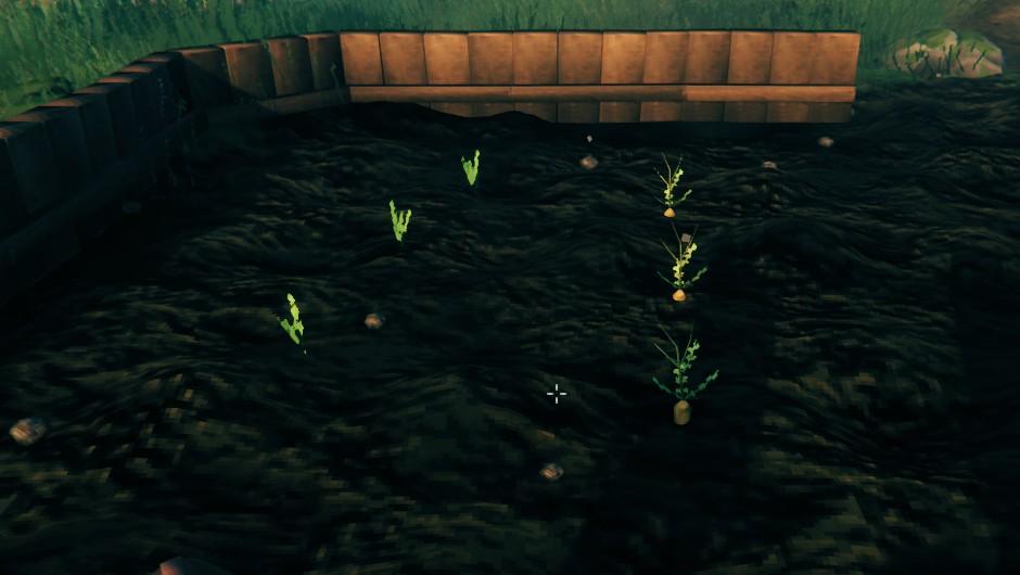Valheim : L'agriculture, comment planter ses graines ? - GAMEWAVE