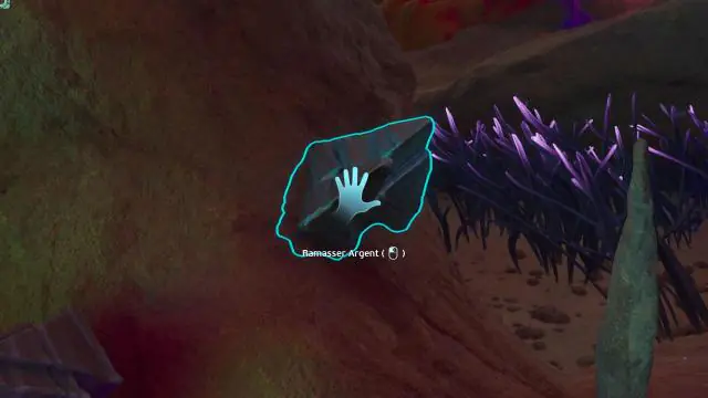 Subnautica 2 : Kyste de nécrolei, où en trouver pour fabriquer de l ...